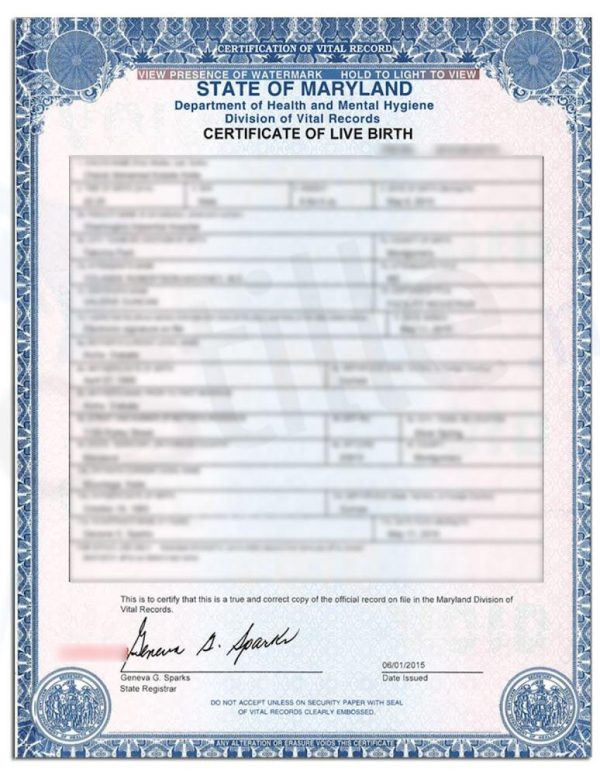 The Art of Birth Certificates: A Guide to Design & Importance